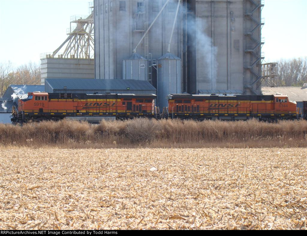 BNSF 5919